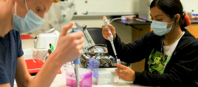 Programs - Kent Career Technical Center